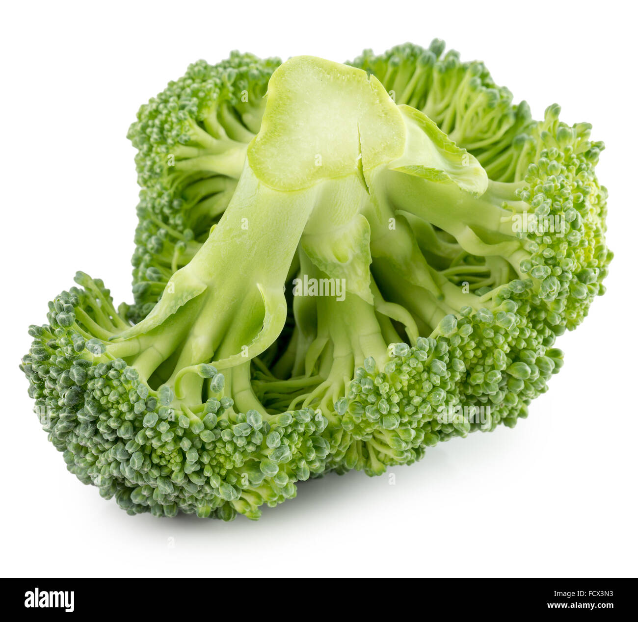broccoli isolated on the white background Stock Photo - Alamy
