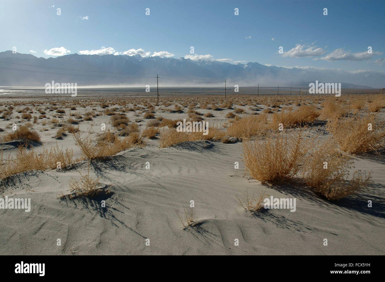 View on desert - road to Manzanar, California, USA Stock Photo - Alamy
