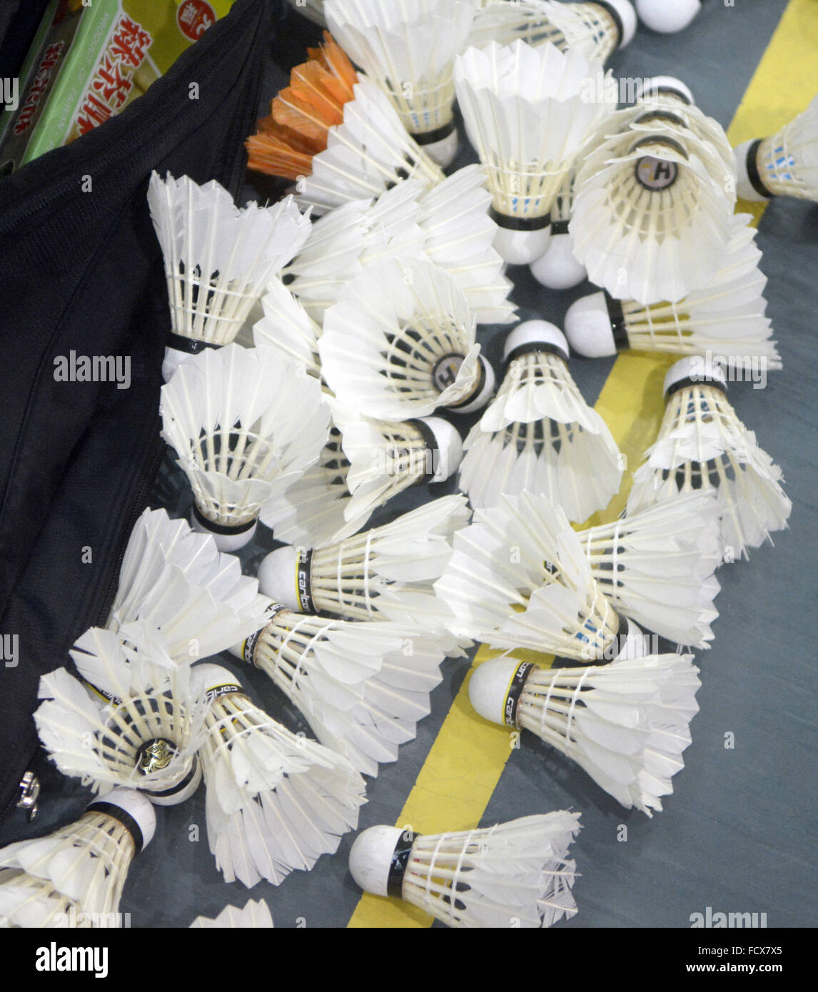 Usa. 25th Jan, 2016. GO -- Badminton shuttlecocks at the Manzano Mesa ...