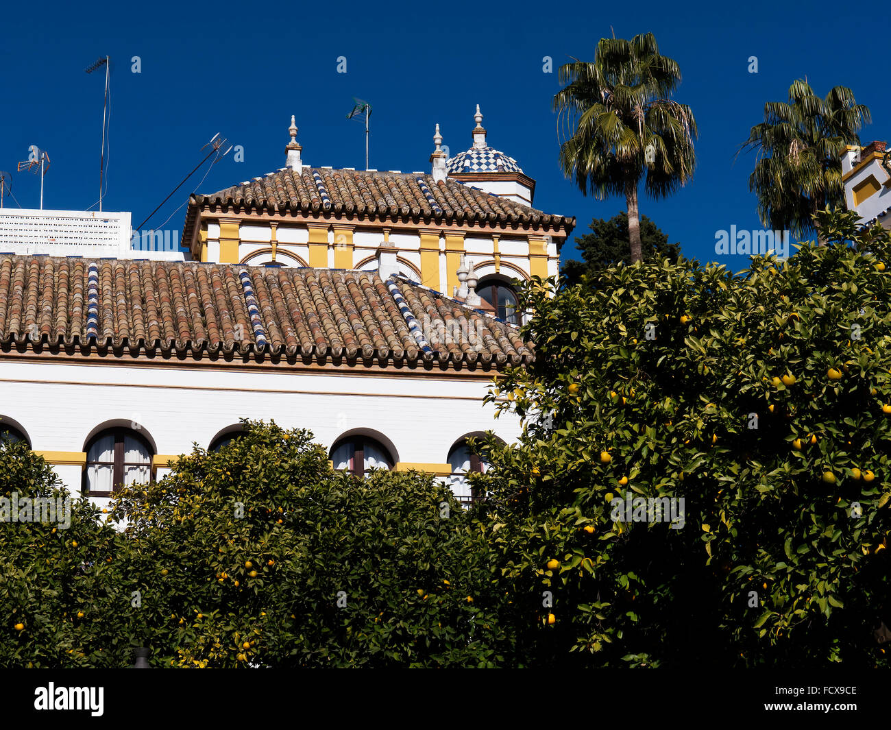 Buildings in Seville which is the artistic, cultural, and financial ...