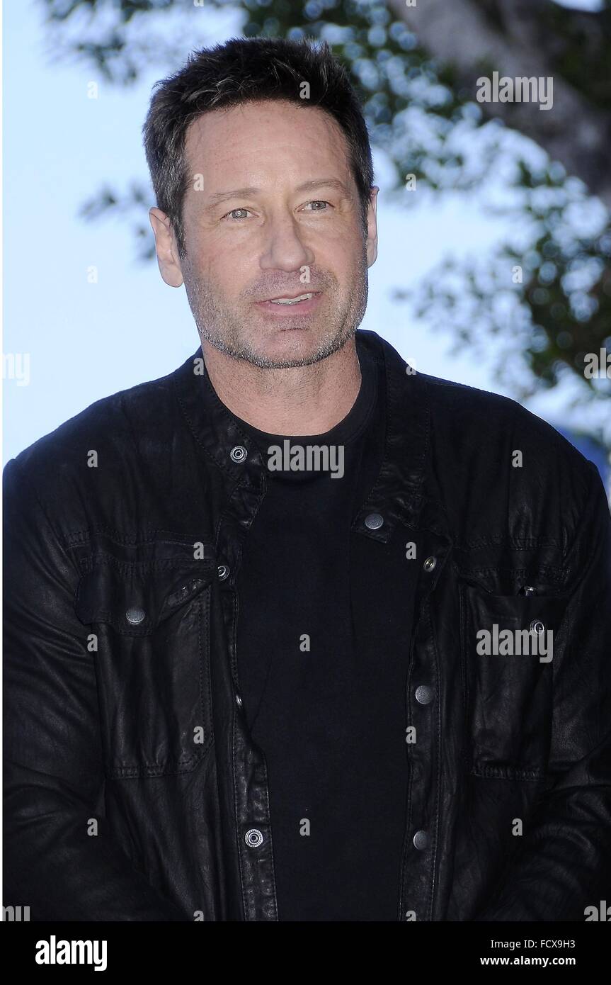 Los Angeles, CA, USA. 25th Jan, 2016. David Duchovny at the induction ...