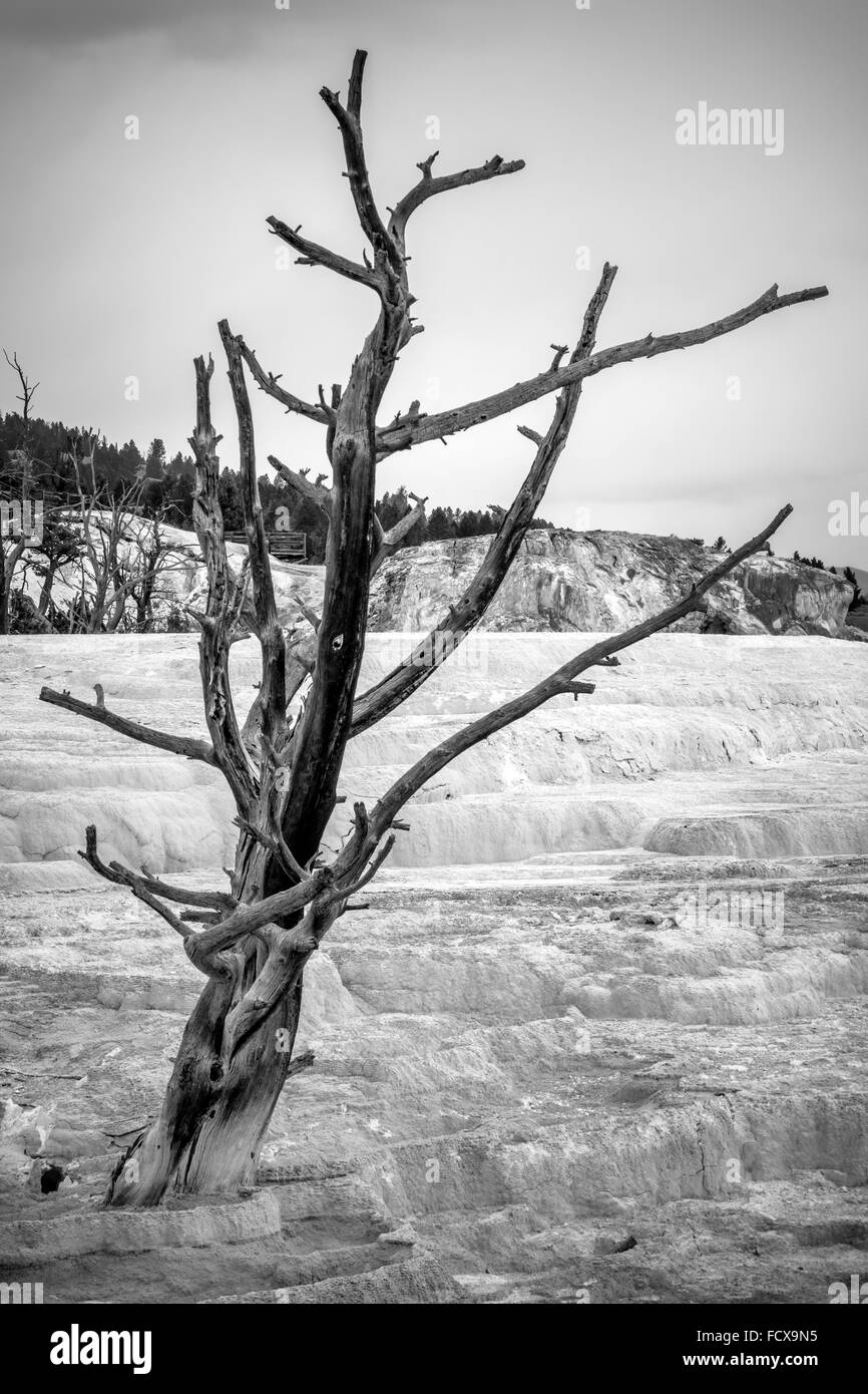 Western springs park Black and White Stock Photos & Images - Alamy