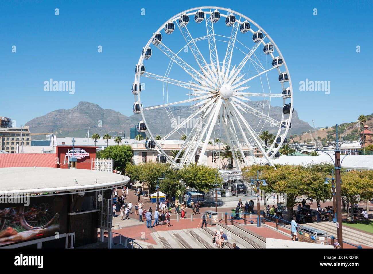 'Cape Wheel' at Victoria & Albert Waterfront, Cape Town, Western Cape ...