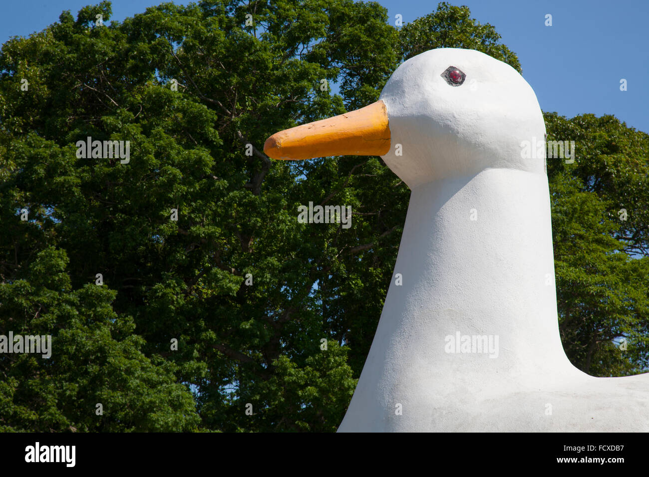 big duck Flanders NY long island gift shop shape Stock Photo - Alamy