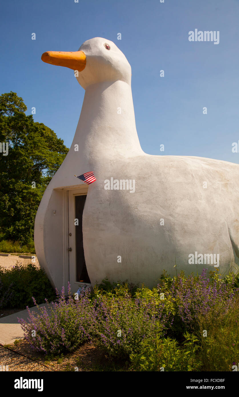 big duck Flanders NY long island gift shop shape Stock Photo - Alamy