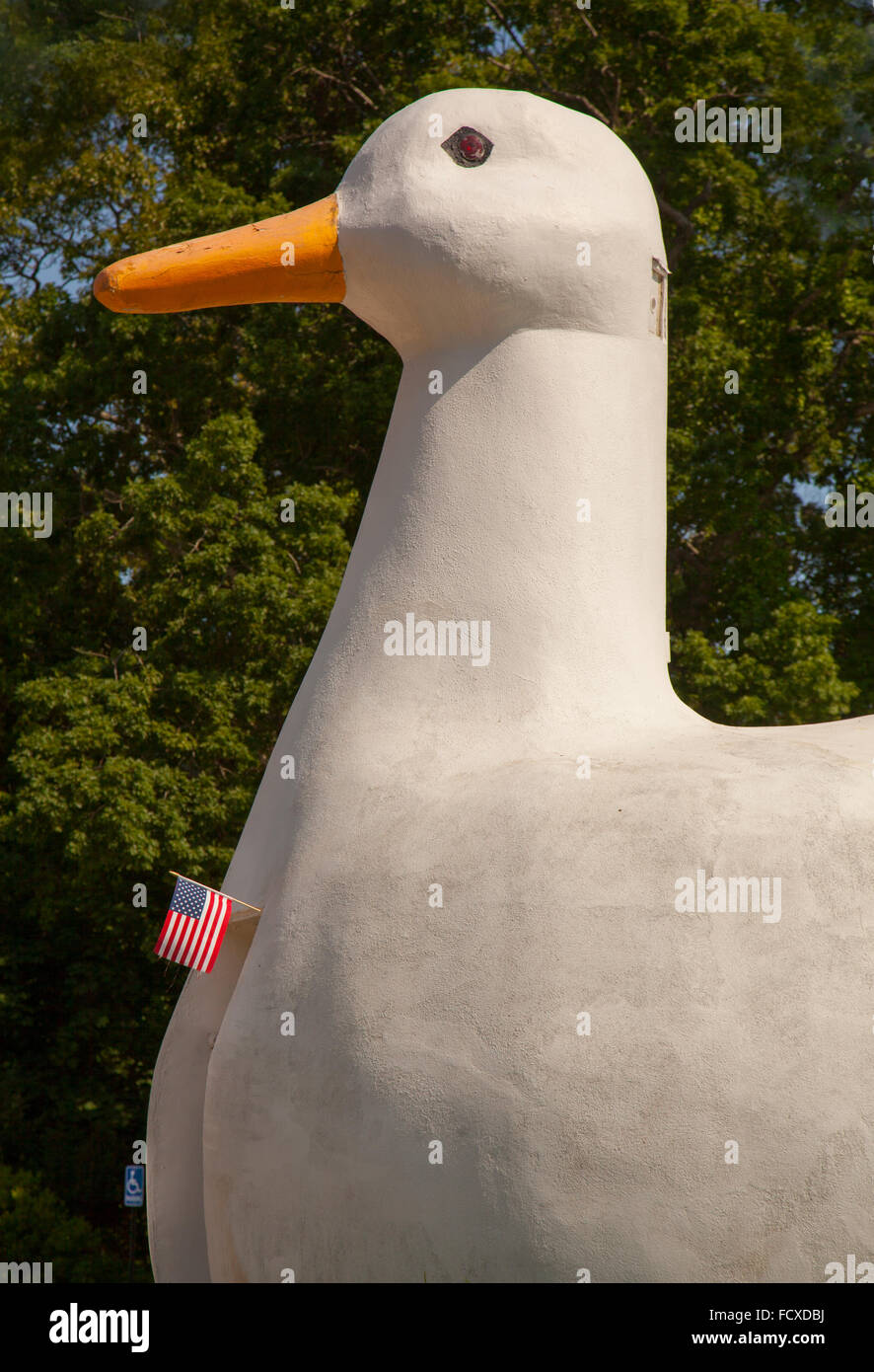 big duck Flanders NY long island gift shop shape Stock Photo - Alamy