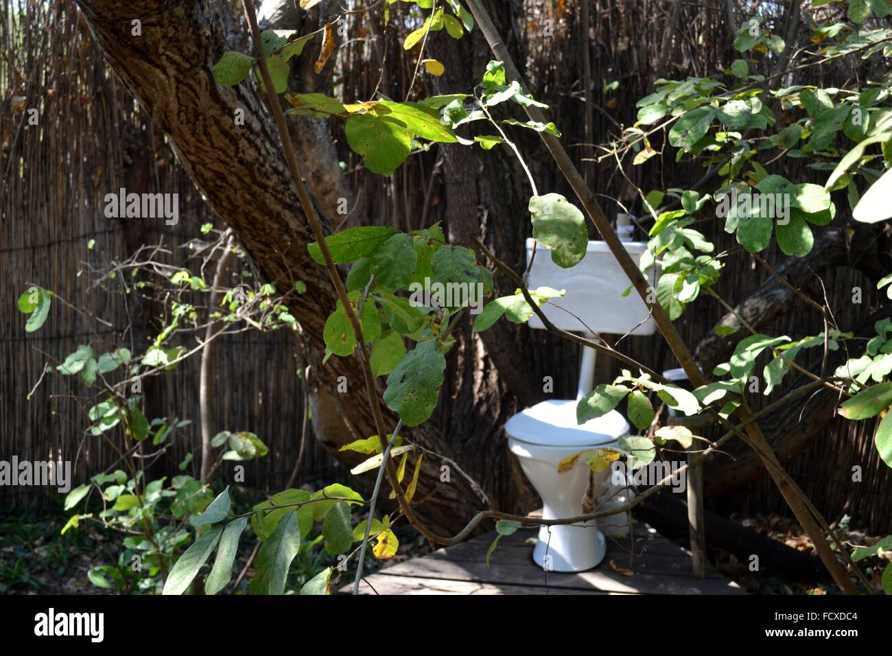 African toilet hi-res stock photography and images - Alamy