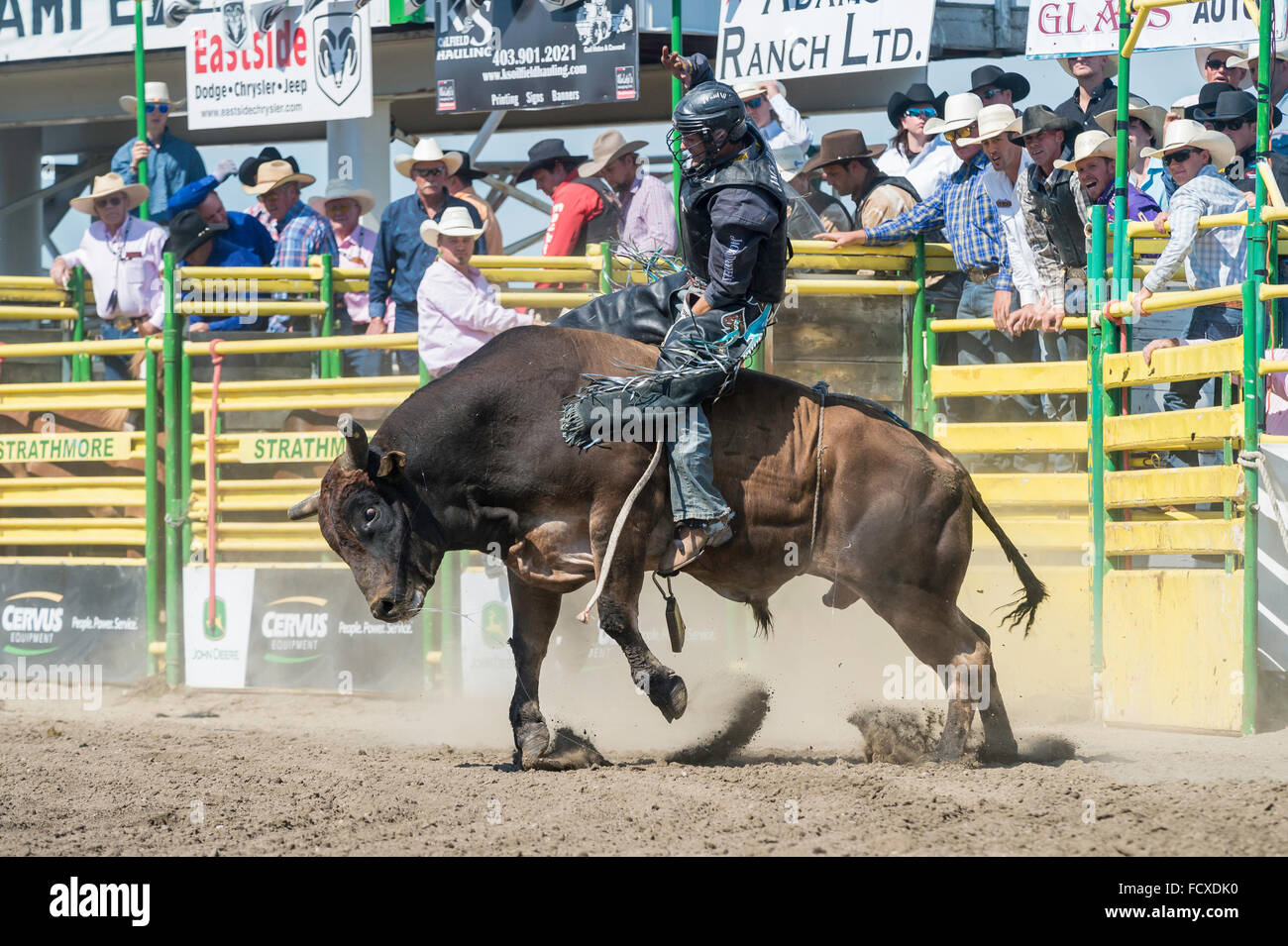 Cowboy bull riding, Strathmore Heritage Days, Rodeo, Strathmore ...