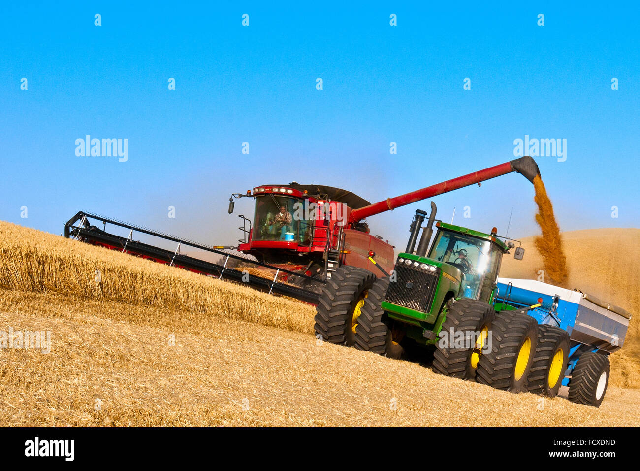 Case combine offloads grain to grain cart while harvesting grain in the ...