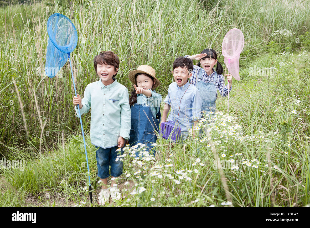 Four kids having fun with butterfly nets in the tall grass field Stock ...