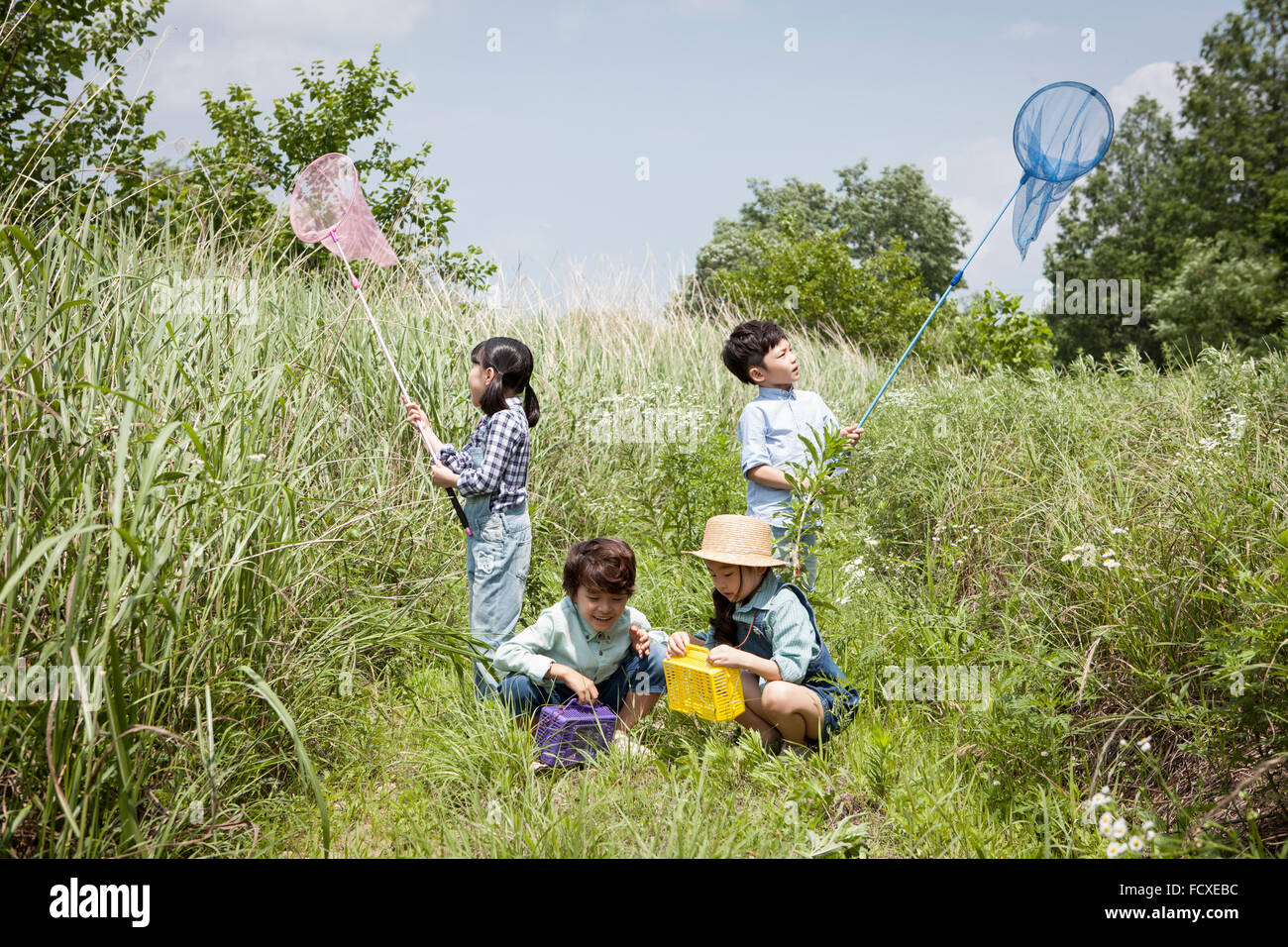 Four kids having fun at the grass field with butterfly nets and ...