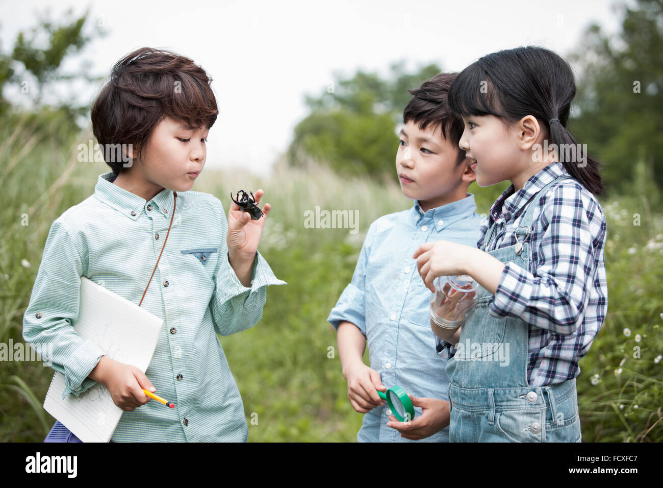 Boy holding an insect and the other boy and a girl looking at it ...