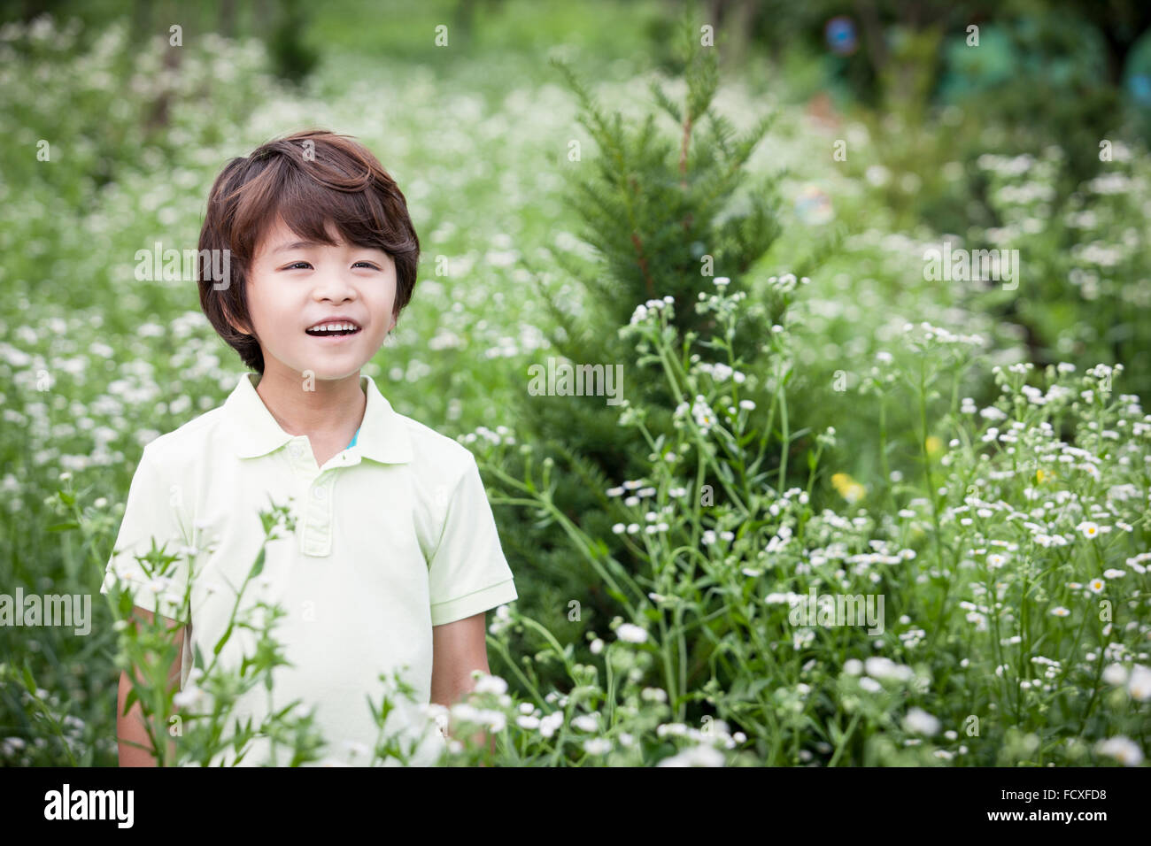 Boy in front flower hi-res stock photography and images - Alamy