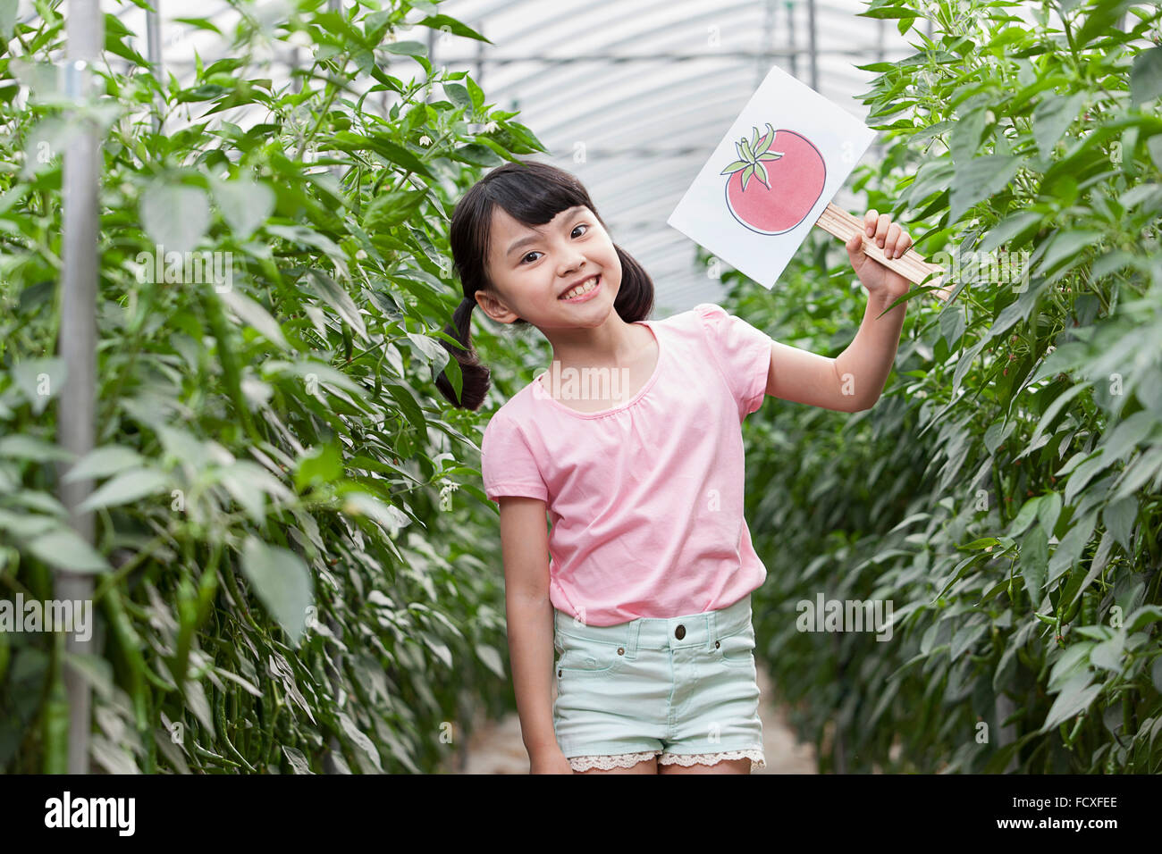 Girl holding a tomato sign and smiling at green house Stock Photo - Alamy