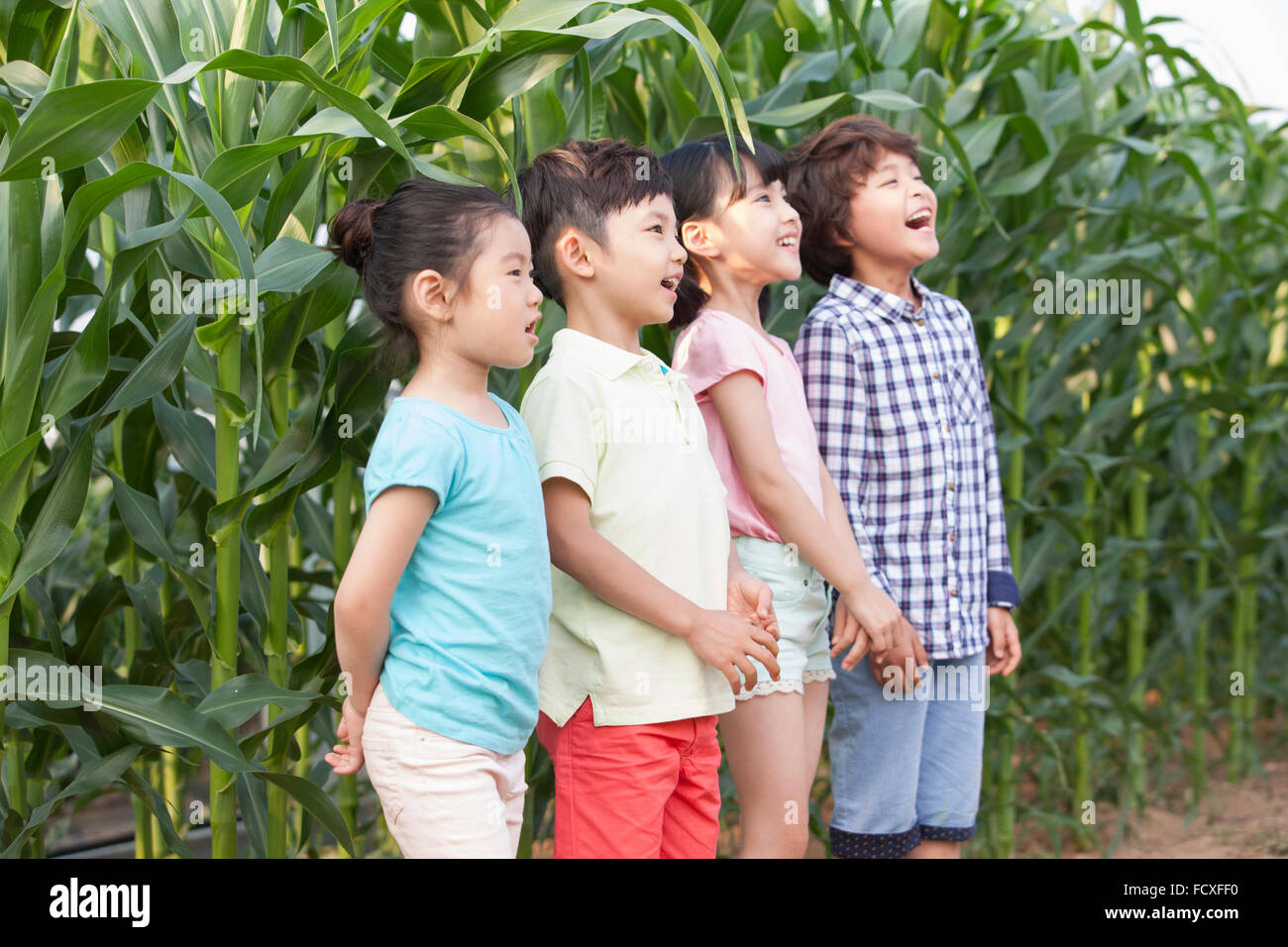 Yell the field hi-res stock photography and images - Alamy