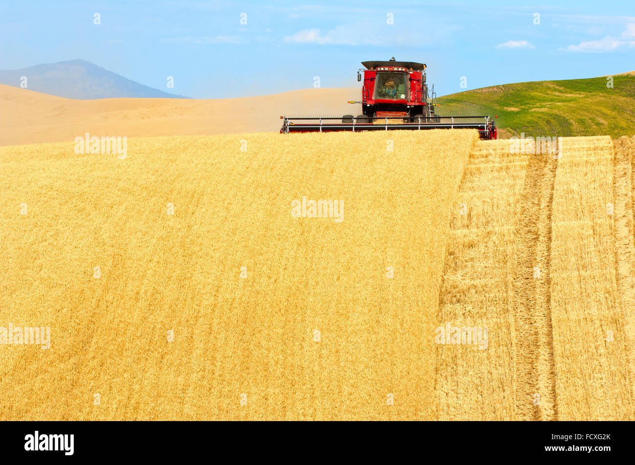 A Case combine harvests grain in the Palouse region of Eastern ...