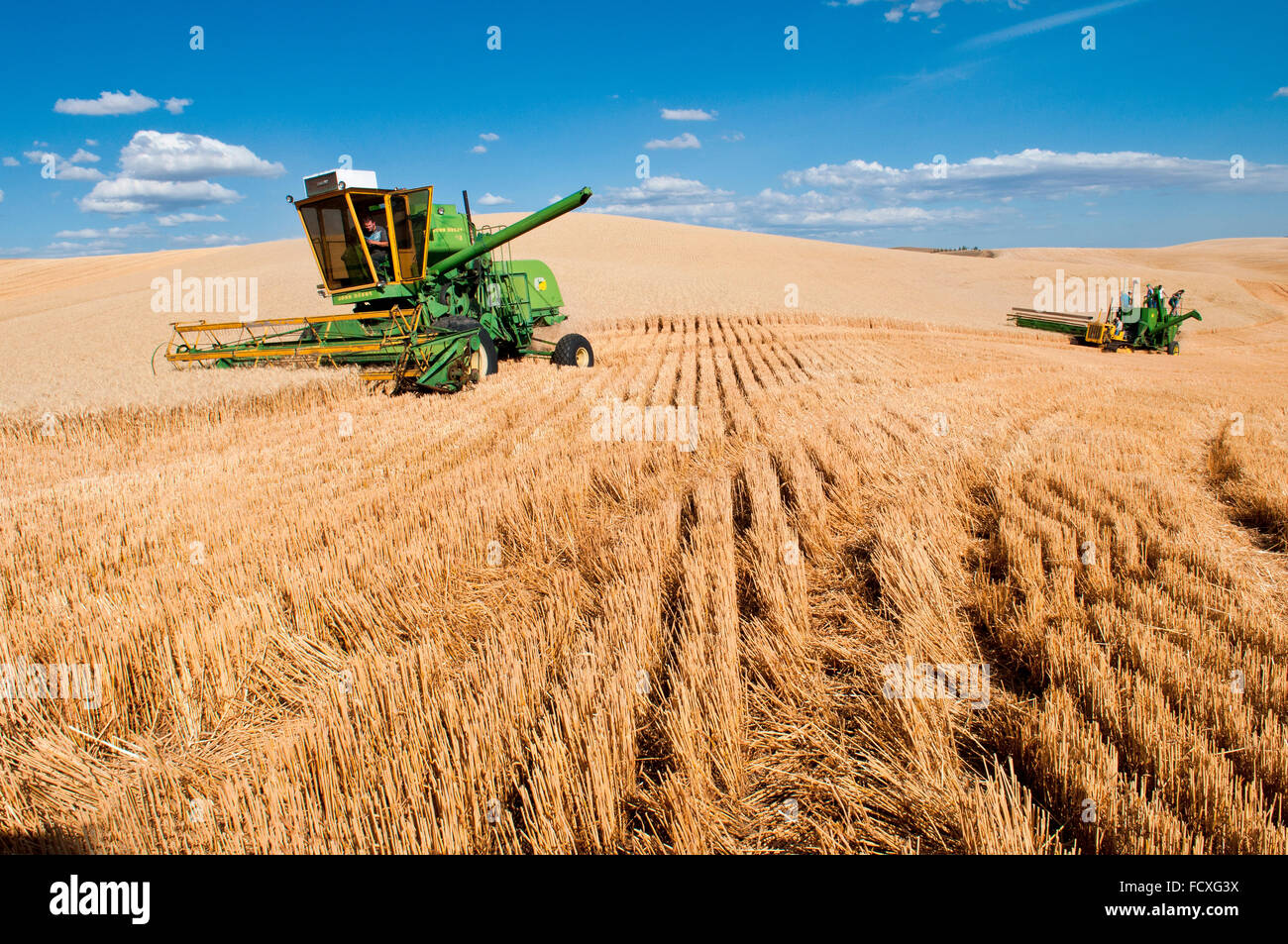 A vintage pulled combine and a vintage self propelled combine ...