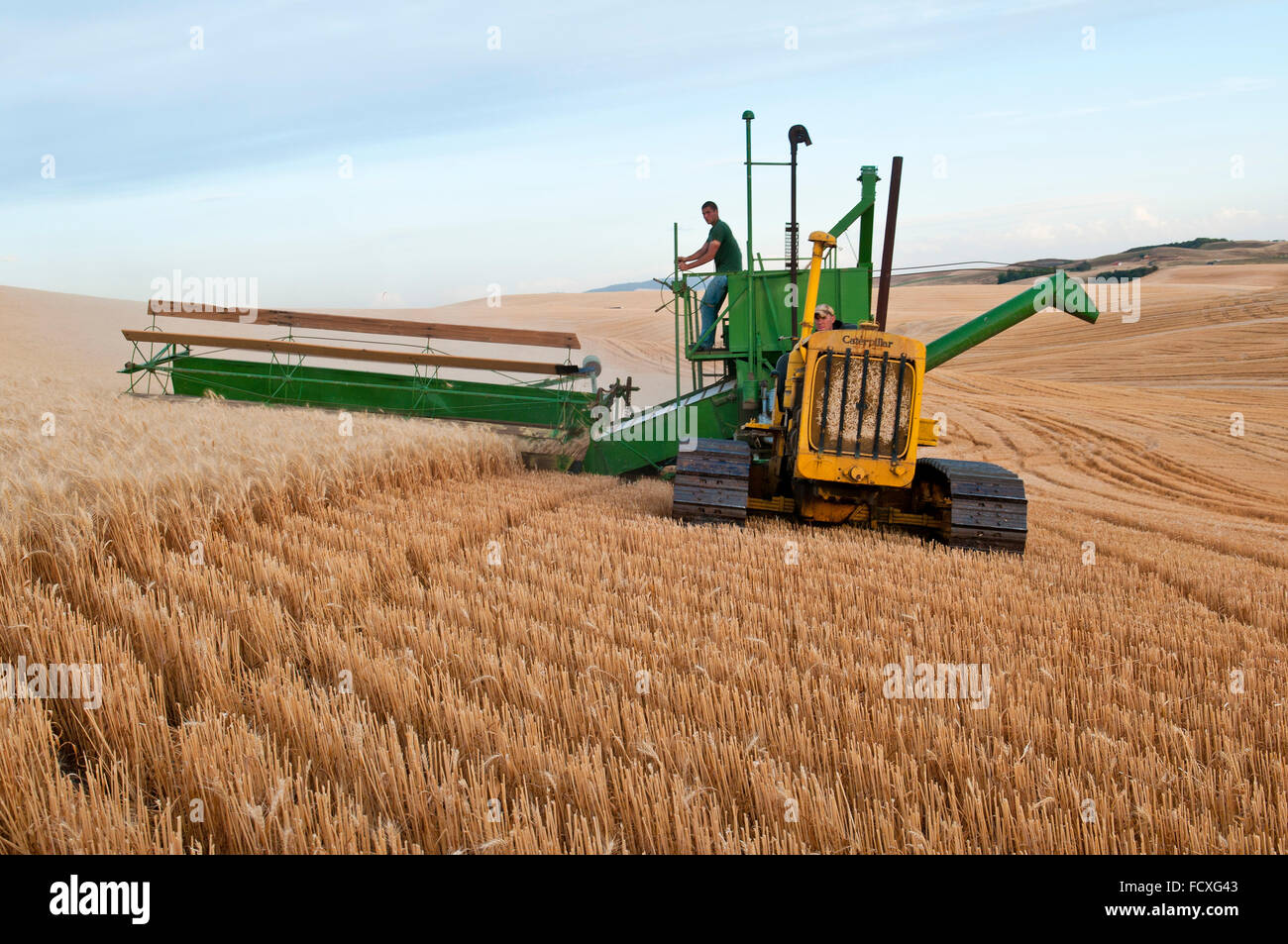 A vintage pulled combine harvesting wheat in the Palouse region of ...