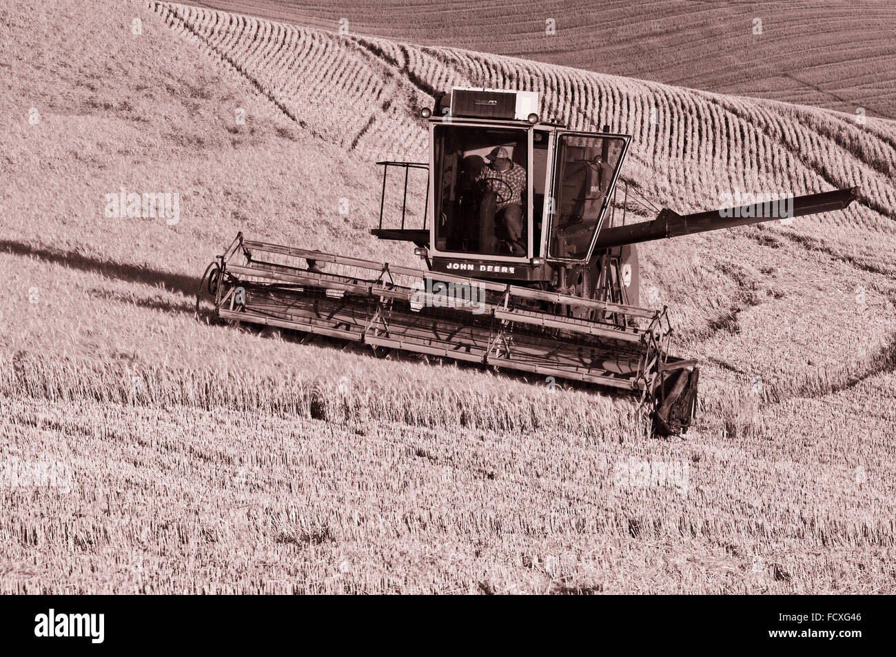 Wheat harvest vintage hi-res stock photography and images - Alamy
