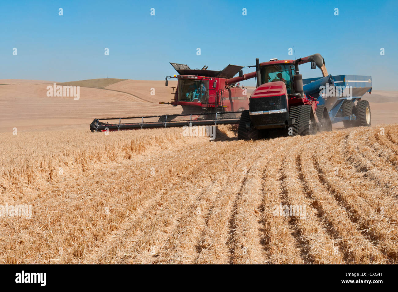 Combine harvester offloading grain hi-res stock photography and images ...