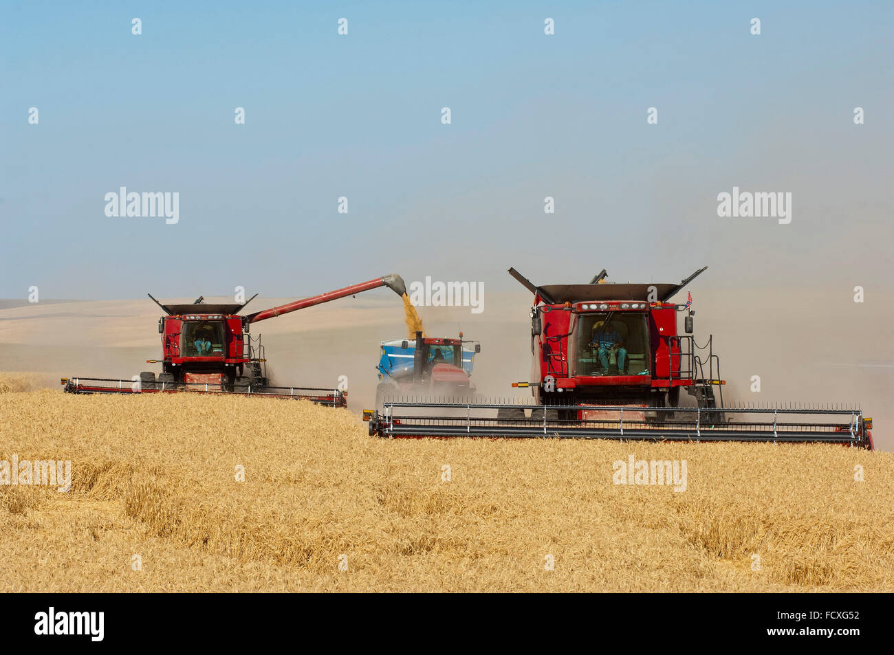 Combine offloading wheat grain hi-res stock photography and images - Alamy