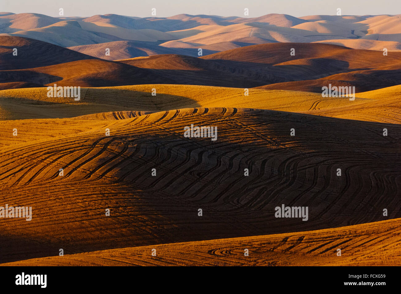 Wheat fields in the Palouse region of Washington Stock Photo - Alamy