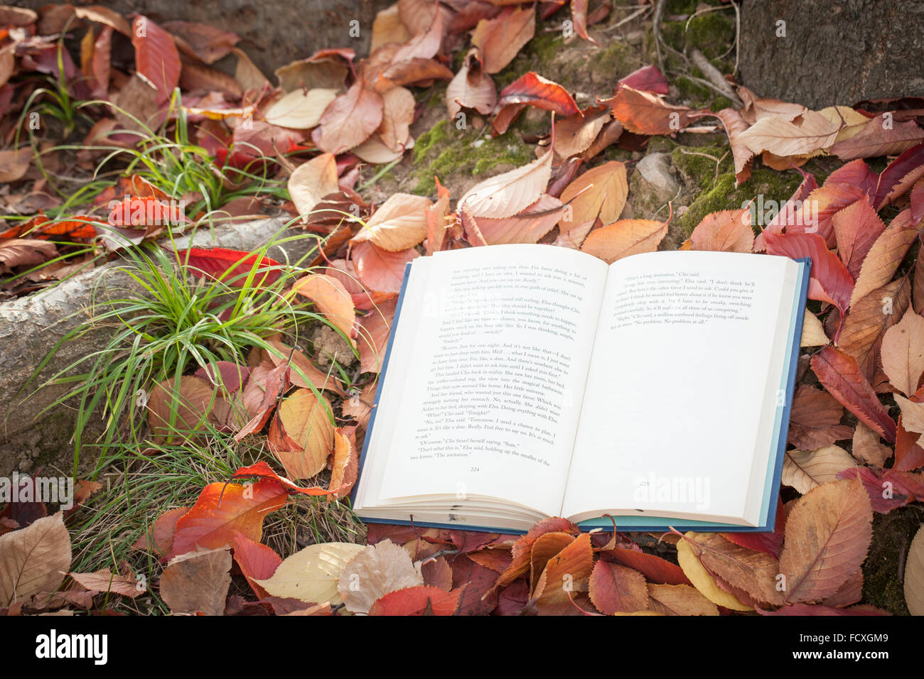 Book open on fallen leaves Stock Photo - Alamy