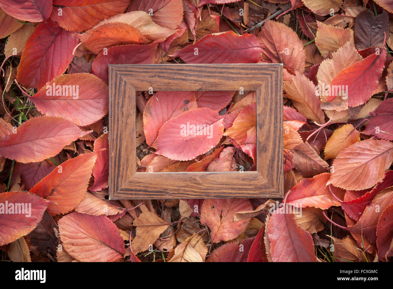 The angle of the frame hi-res stock photography and images - Alamy