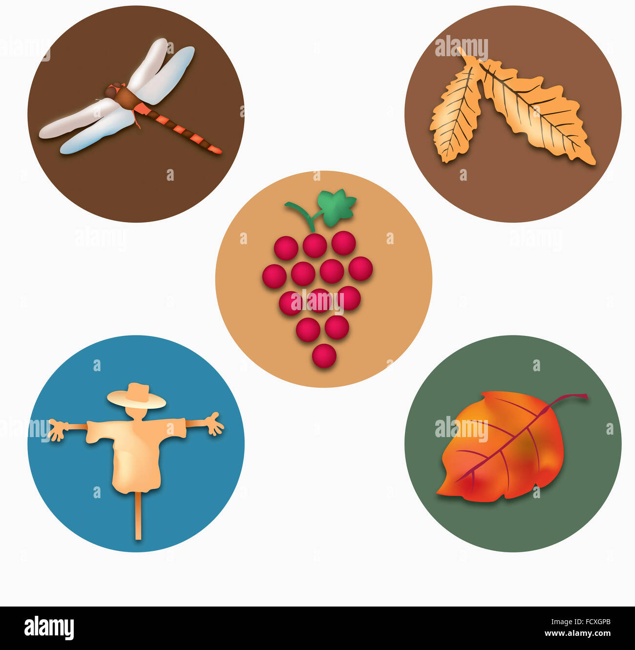 Circle of fallen leaves Cut Out Stock Images & Pictures - Alamy