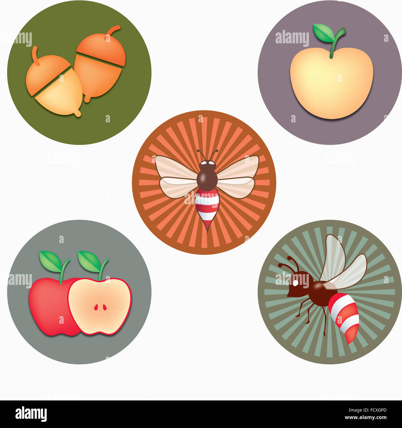 Various icons of fruits and insects in fall Stock Photo - Alamy