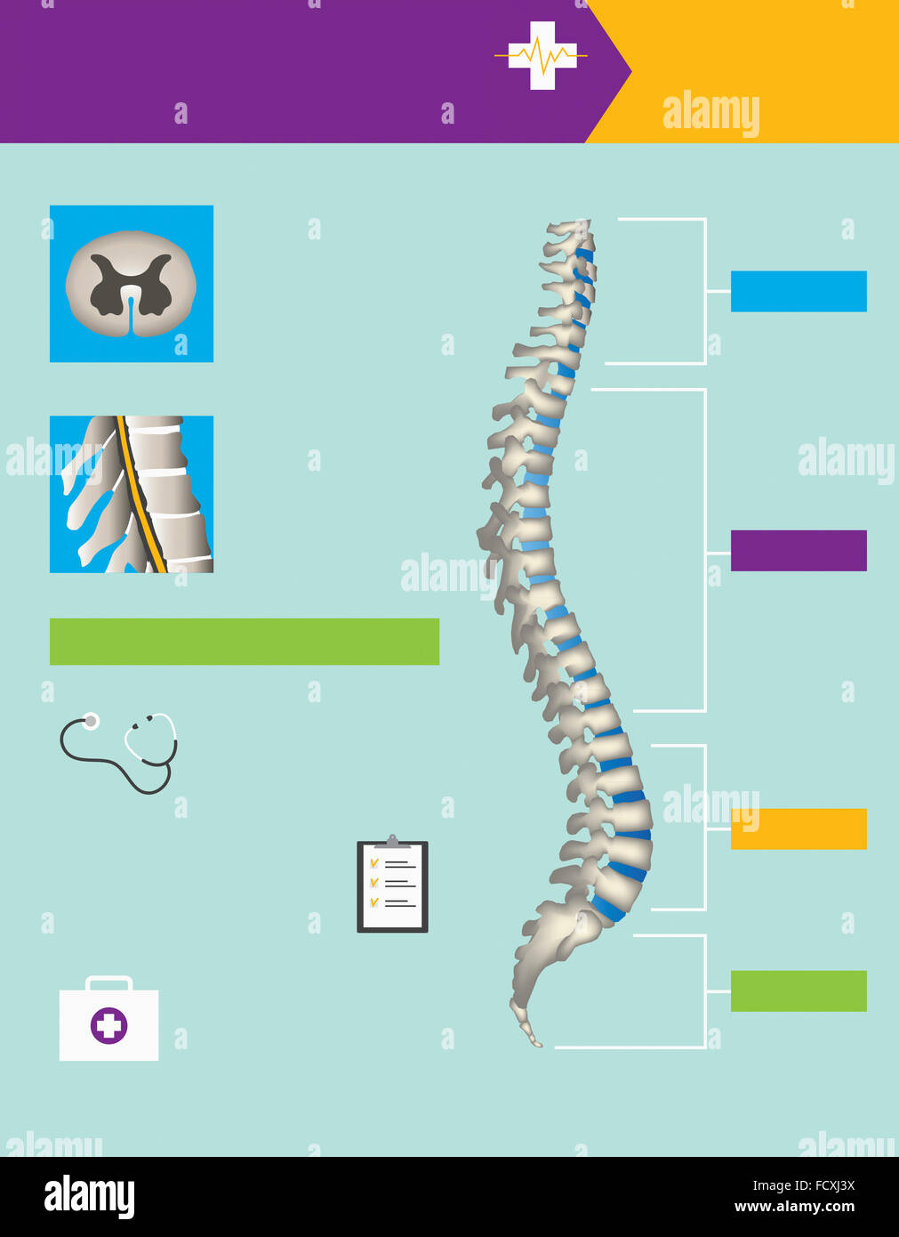 Infographic datum related to backbone Stock Photo - Alamy