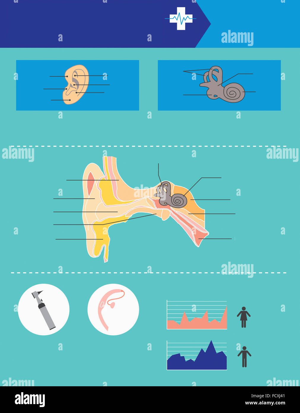 Human ear graph hi-res stock photography and images - Alamy