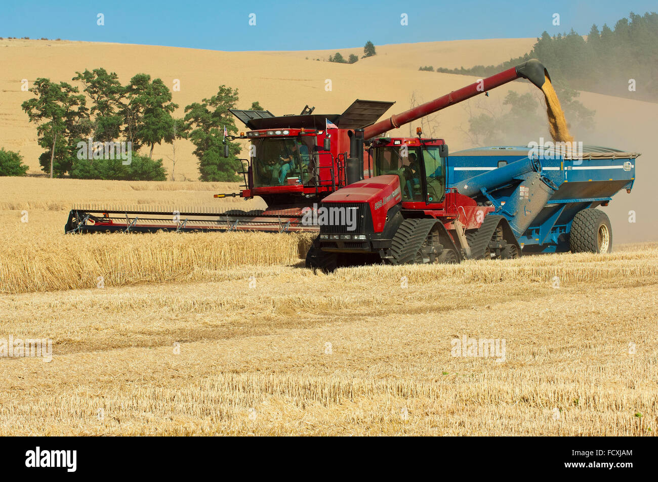 Case combine offloads grain to grain cart while harvesting grain in the ...