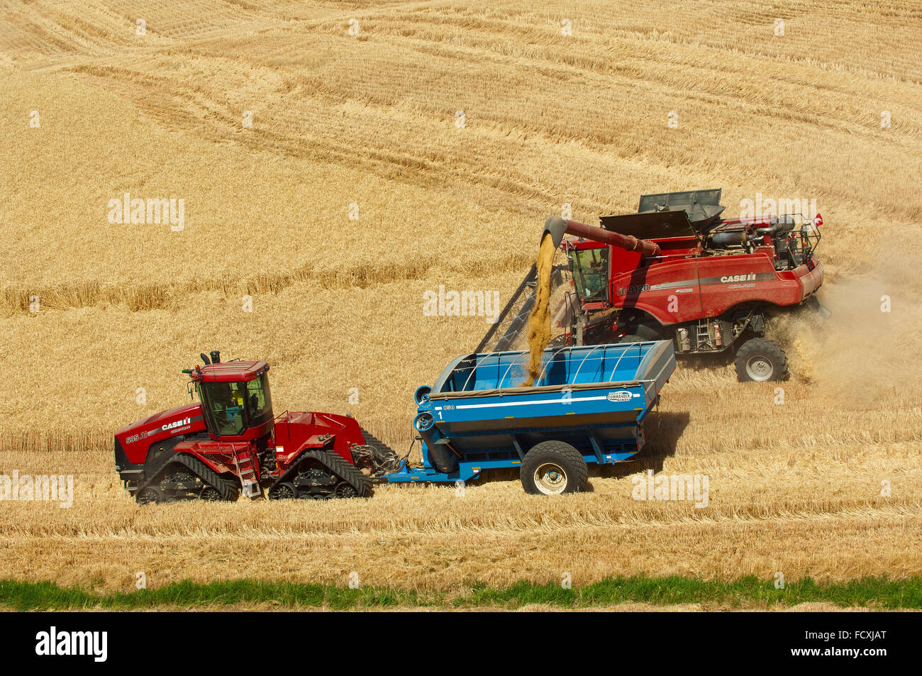 Case combine harvests wheat on the hills of the Palouse region of ...