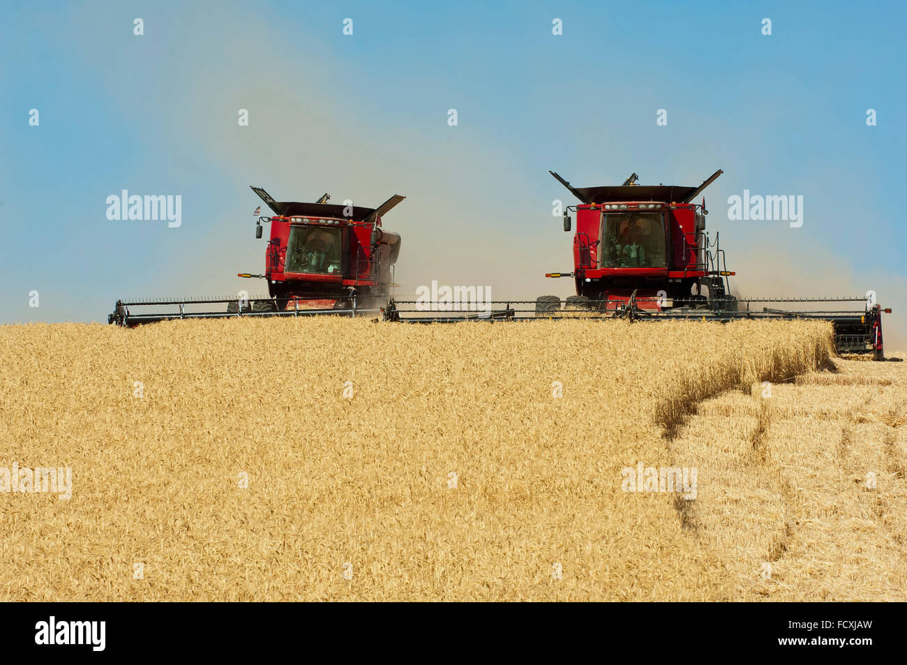 Usa combines wheat hi-res stock photography and images - Alamy
