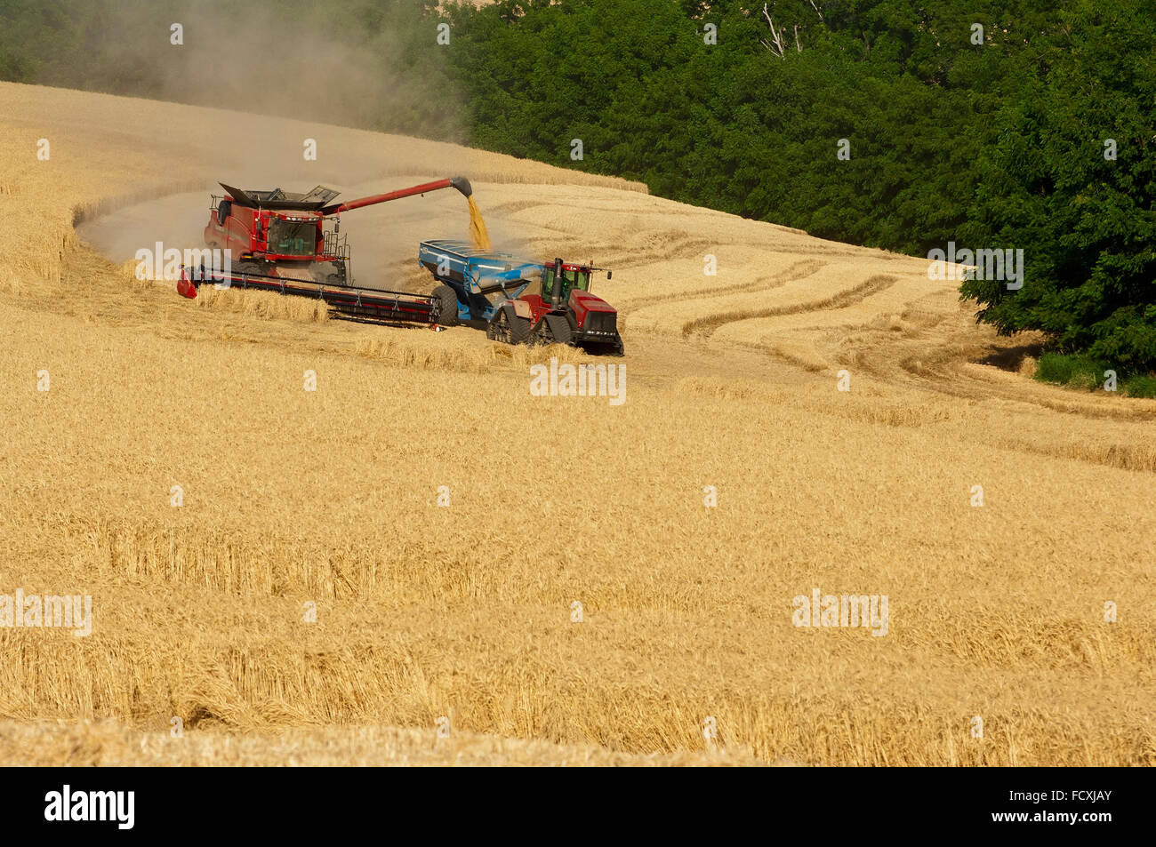 Combine harvesting wheat while unloading to a grain cart in the Palouse ...