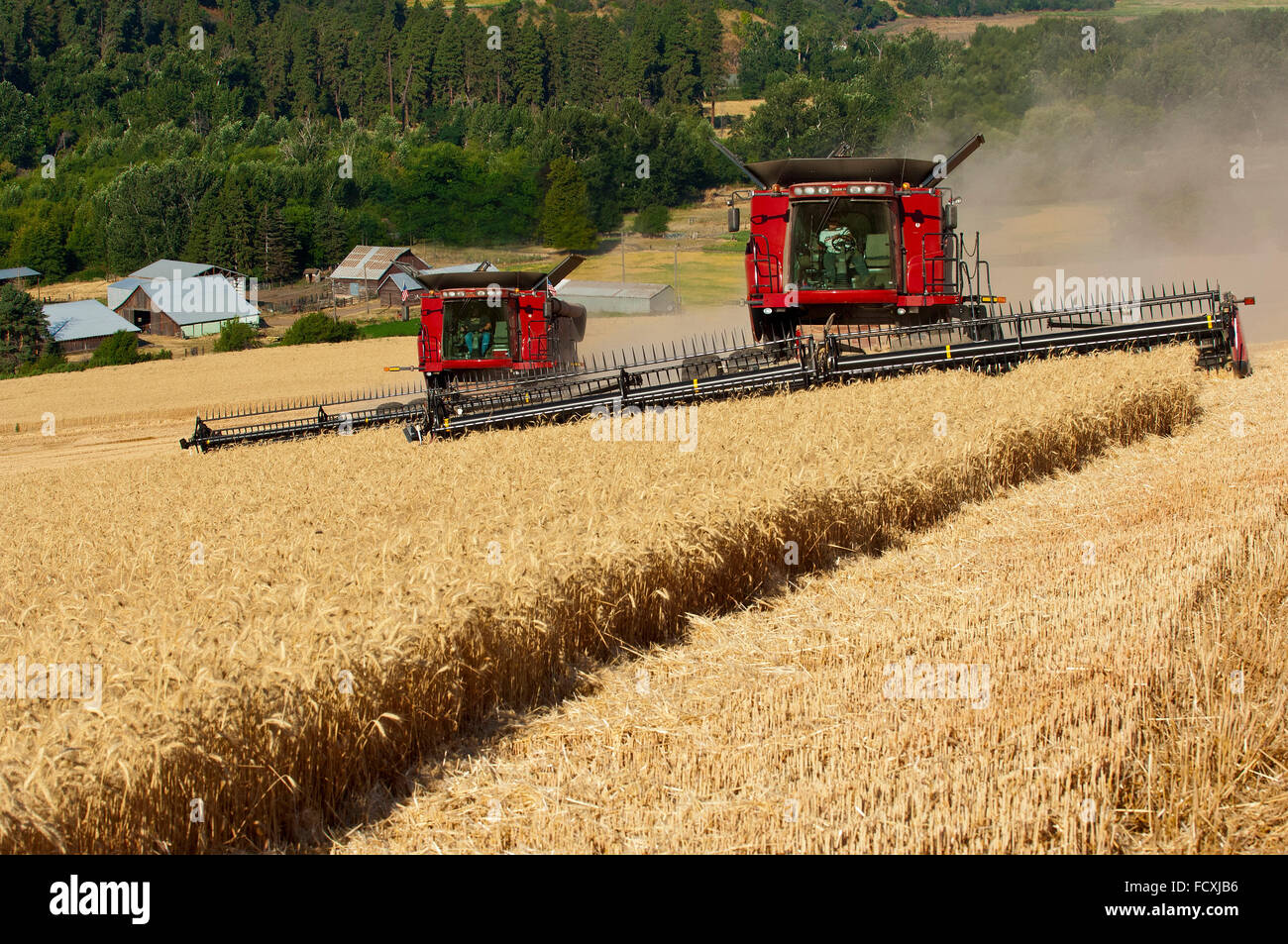 Combines harvesting wheat in the Palouse region of Washington Stock ...