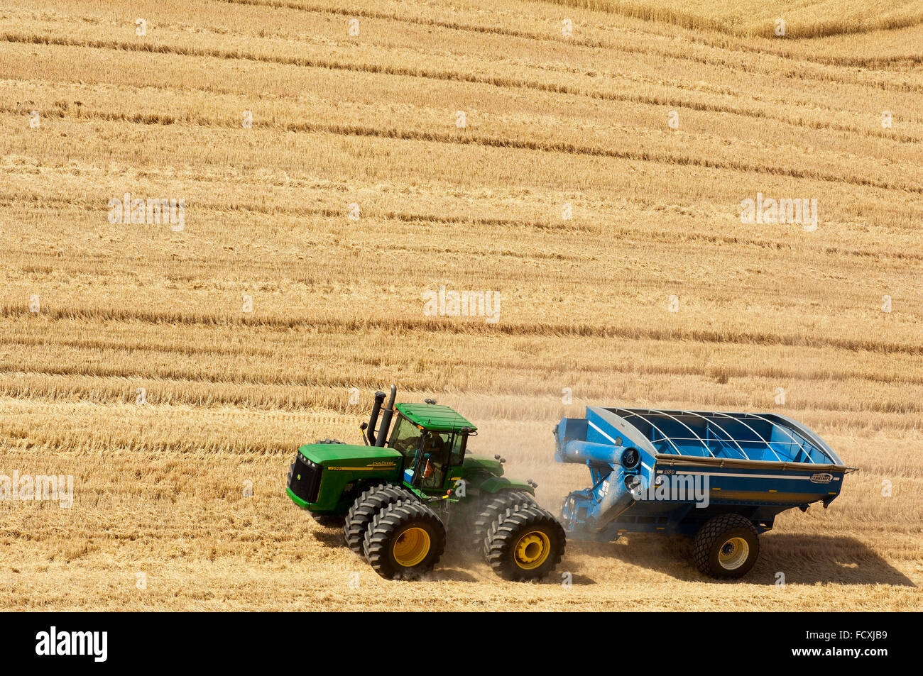 A tractor pulled grain cart makes its way across a wheat field during ...