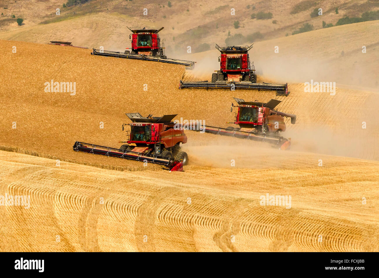 Combines wheat field usa hi-res stock photography and images - Alamy