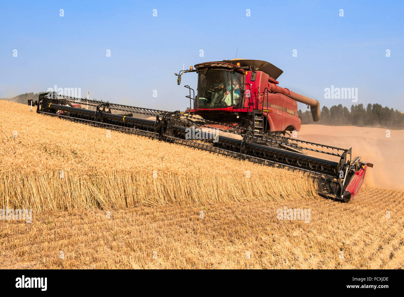 Case ih international harvester combine hi-res stock photography and ...