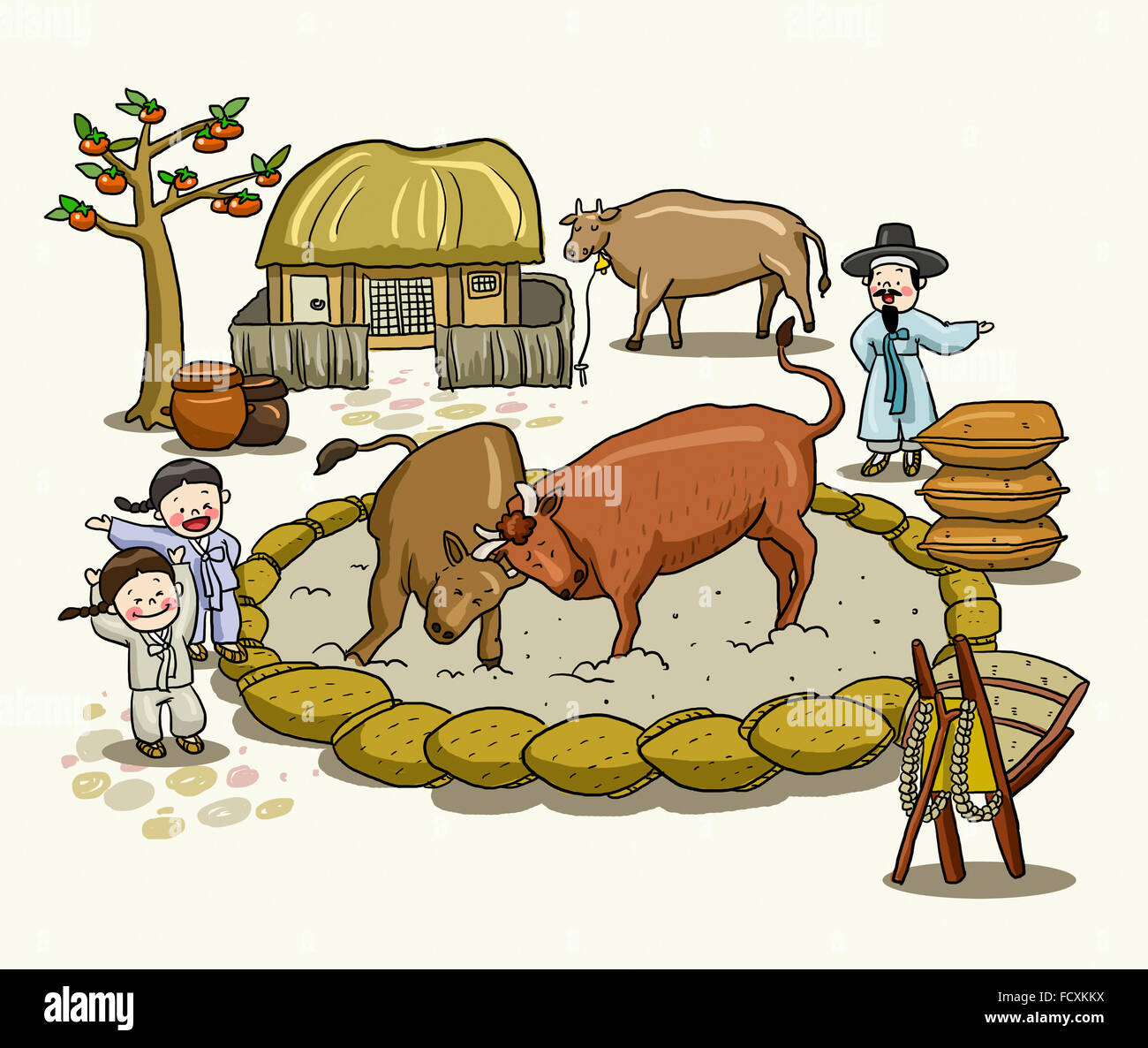 Traditional Korean culture, Bulls fighting Stock Photo - Alamy