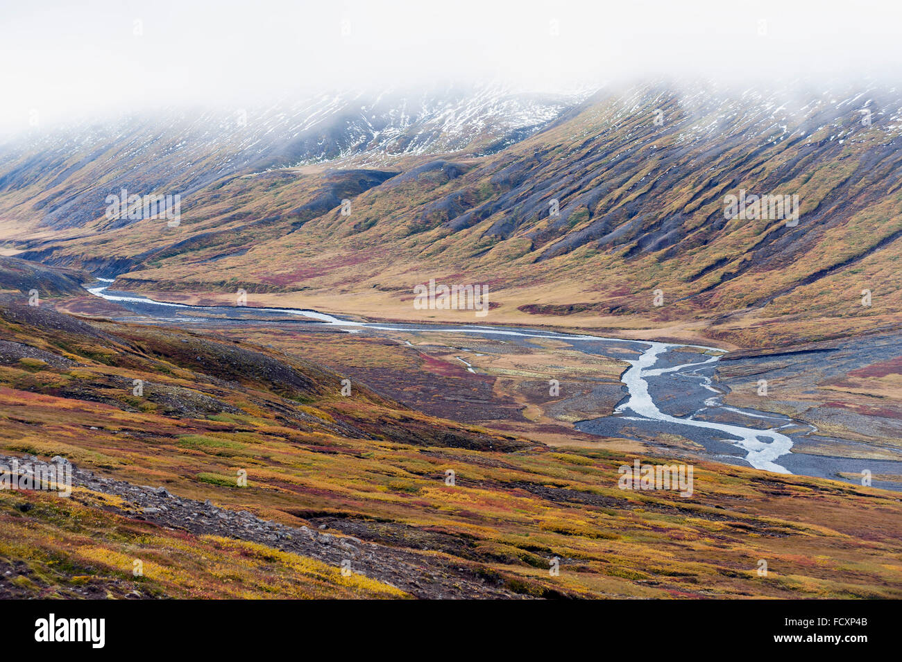 River valley, Iceland Stock Photo - Alamy
