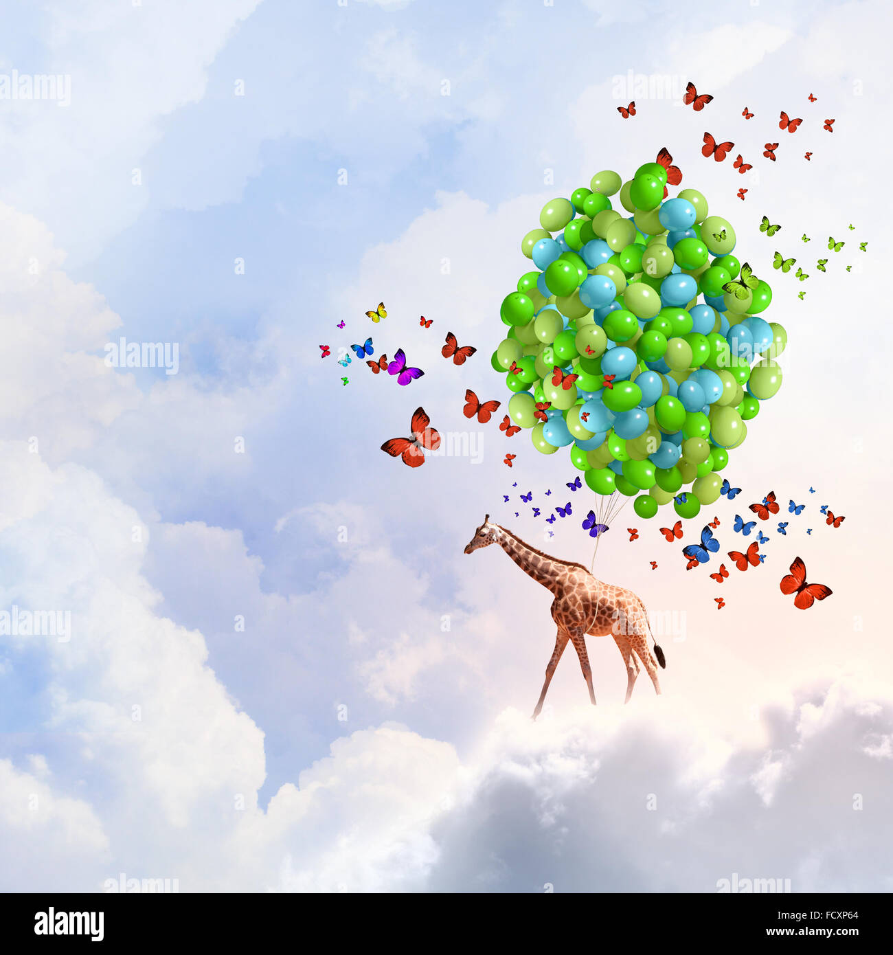 Sunny image of giraffe flying high in sky on aerostat Stock Photo - Alamy