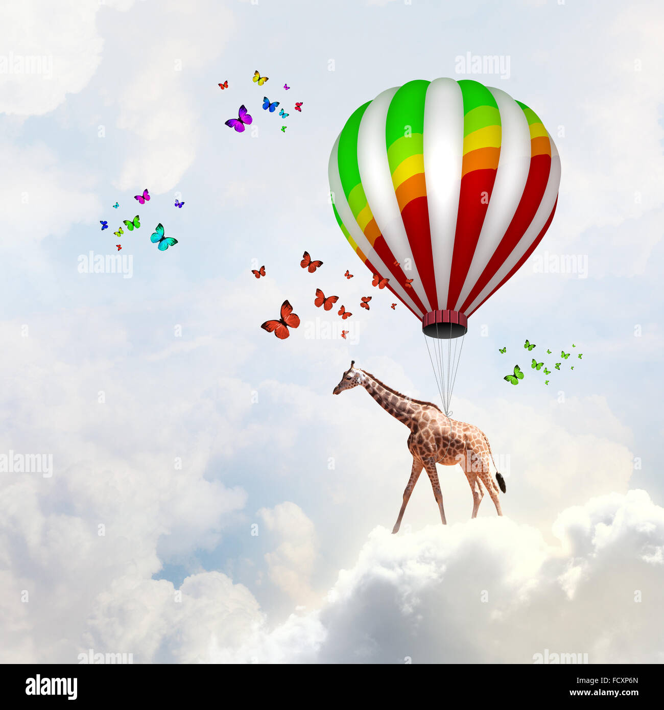 Sunny image of giraffe flying high in sky on aerostat Stock Photo - Alamy