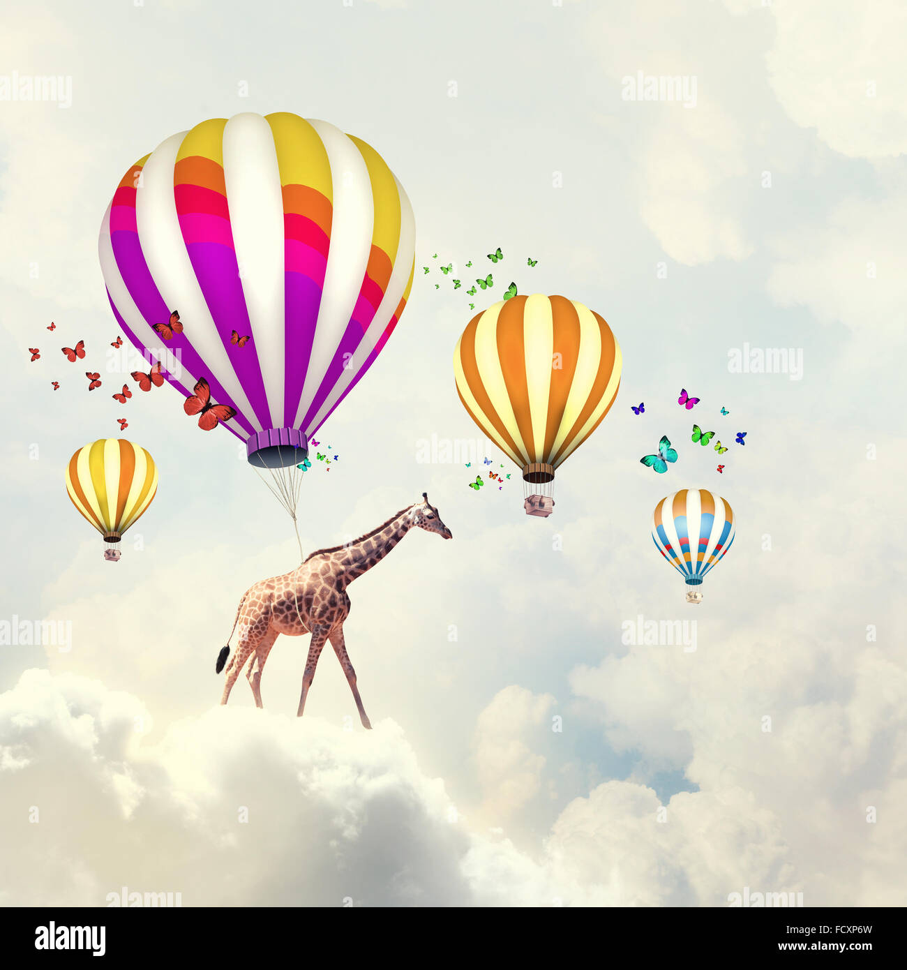Sunny image of giraffe flying high in sky on aerostat Stock Photo - Alamy