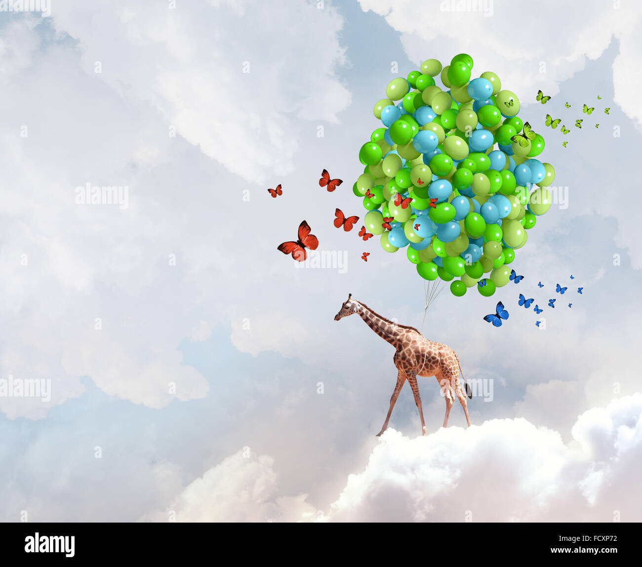 Sunny image of giraffe flying high in sky on aerostat Stock Photo - Alamy