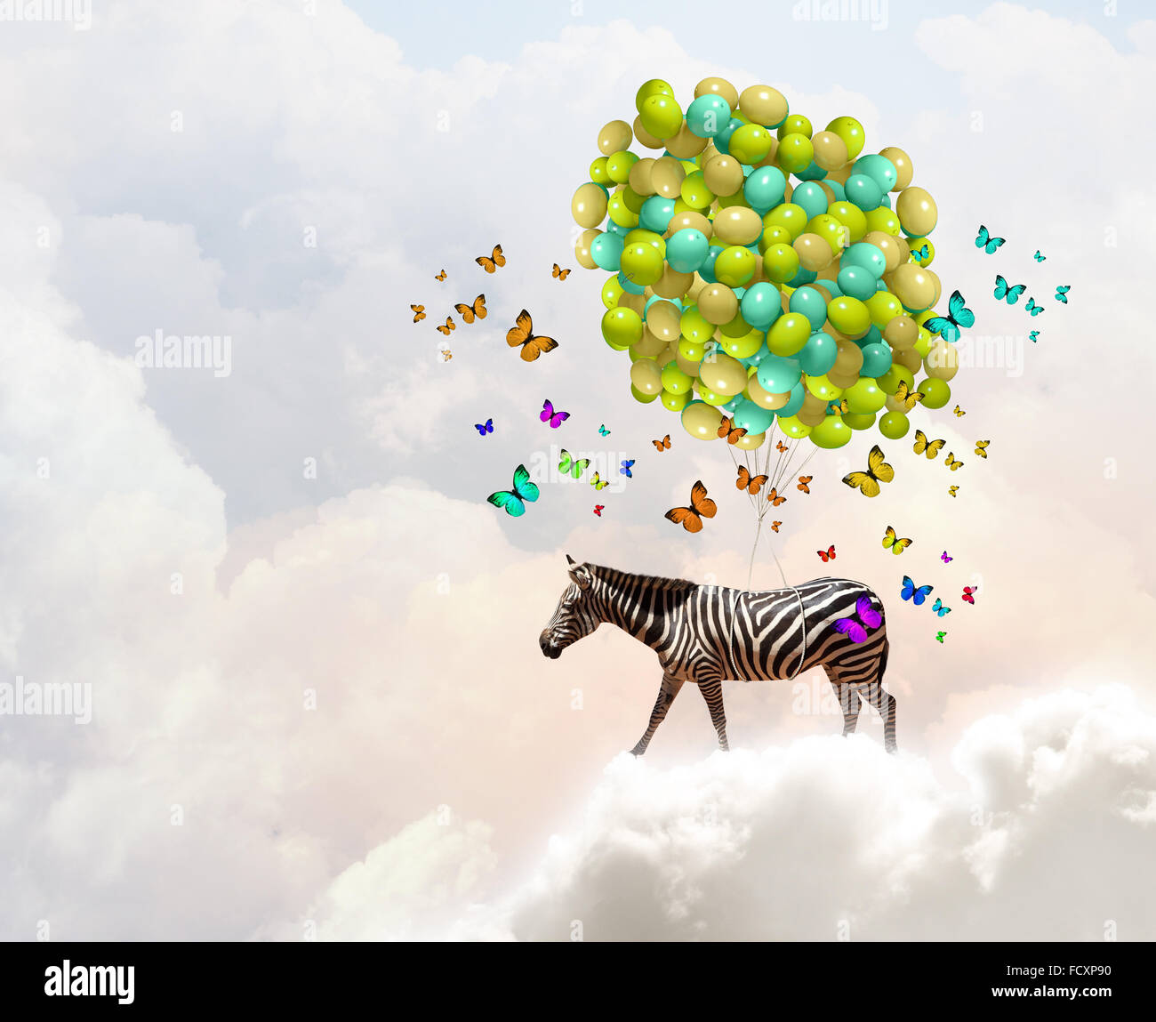 Fantasy image of zebra flying in sky on aerostat Stock Photo - Alamy