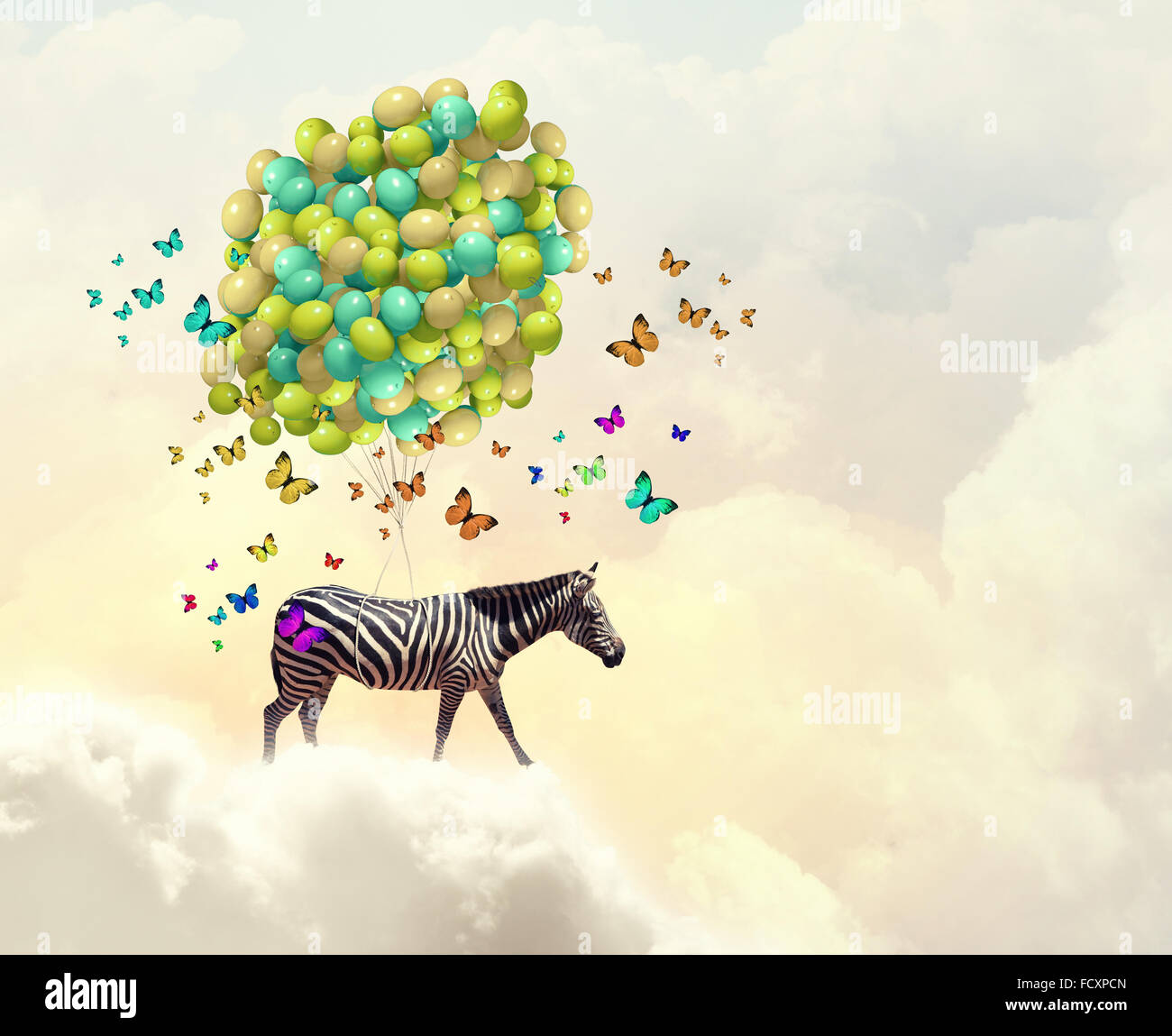 Fantasy image of zebra flying in sky on aerostat Stock Photo - Alamy