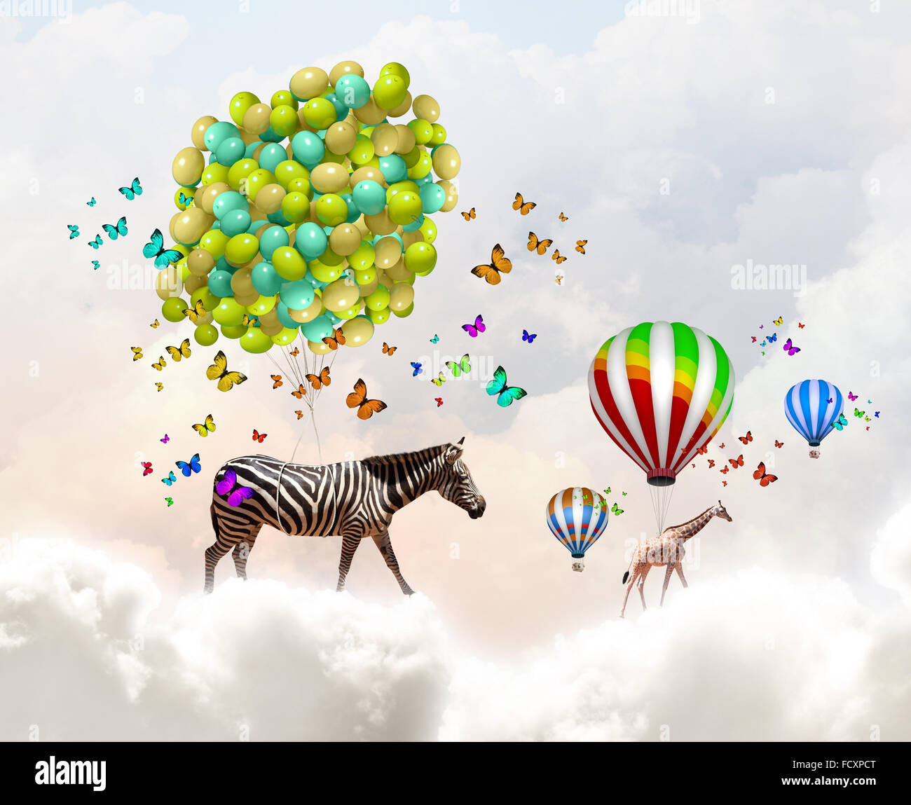 Fantasy image of zebra flying in sky on aerostat Stock Photo - Alamy