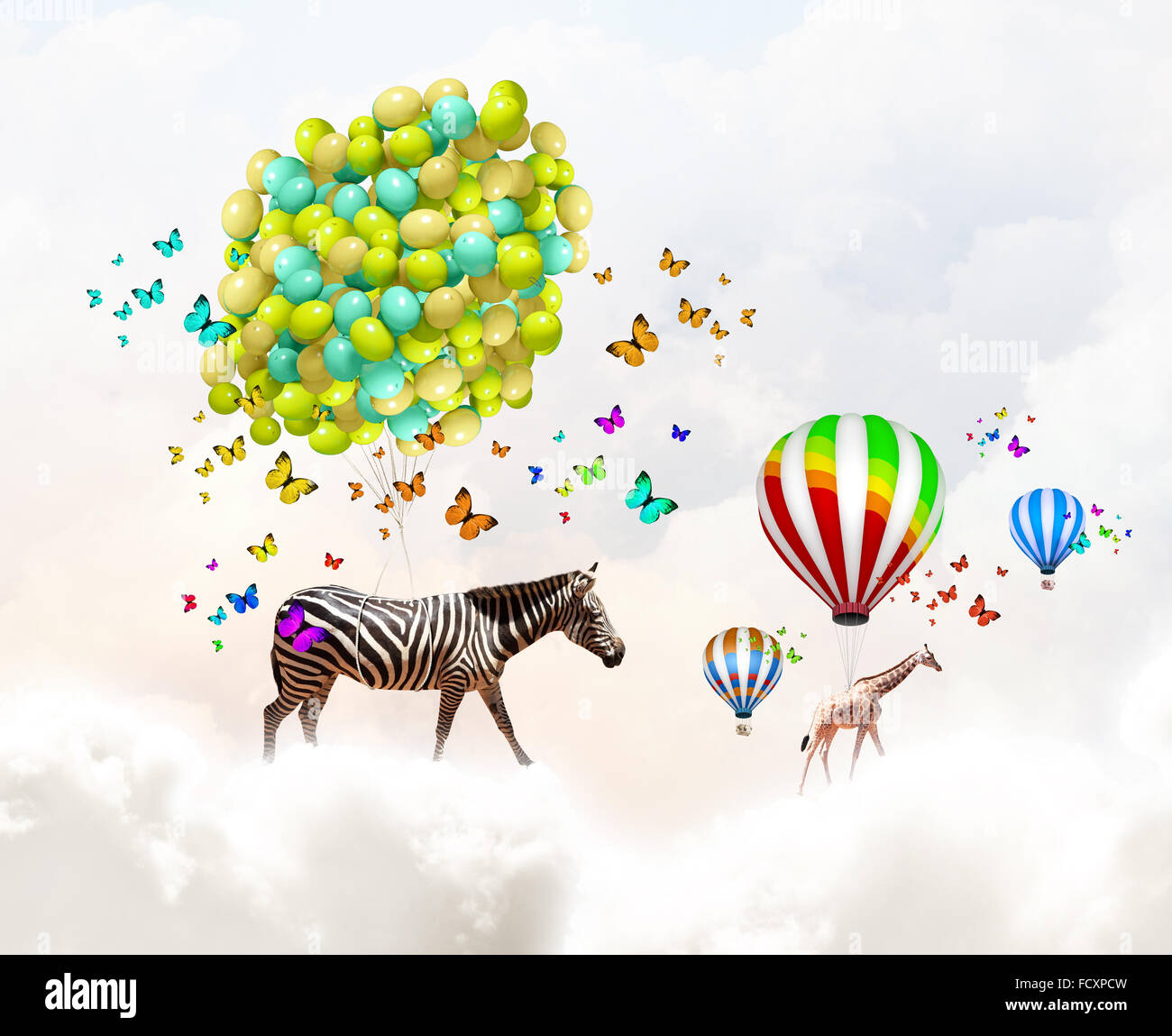 Fantasy image of zebra flying in sky on aerostat Stock Photo - Alamy